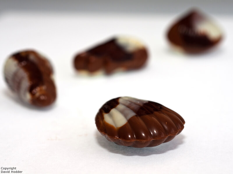 Photography - David Hodder