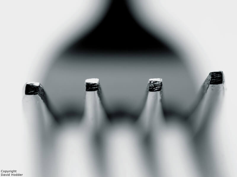 Photography - David Hodder