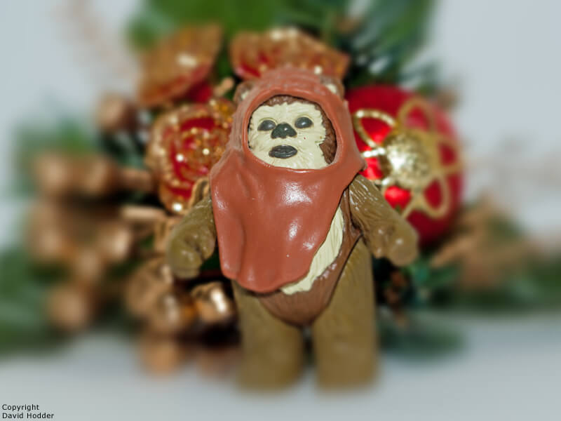 Photography - David Hodder